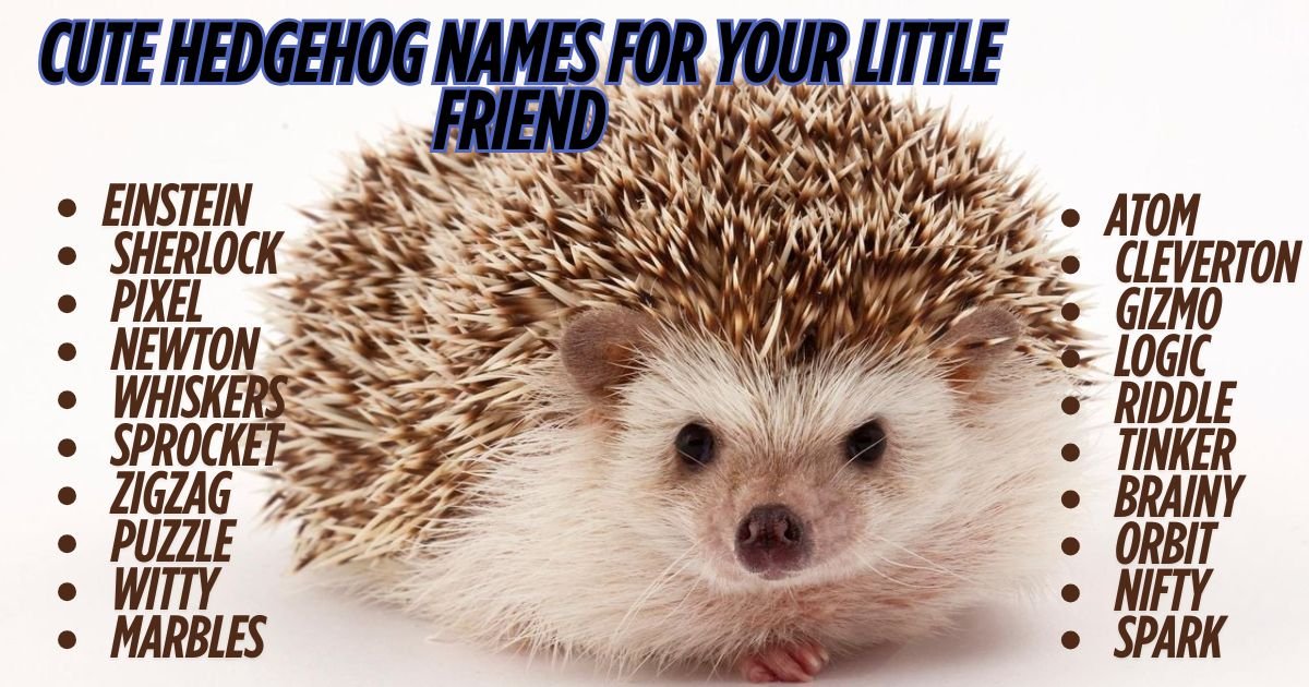 600+ Cute Hedgehog Names for Your Little Friend 2025