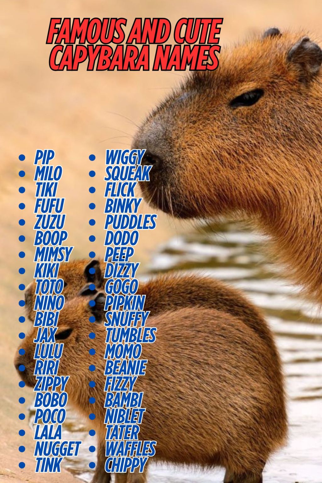1400+ Famous and Cute Capybara Names Best Ideas 2025