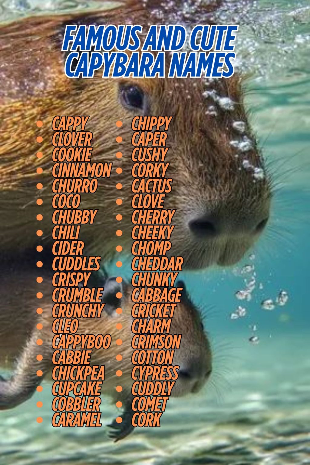 1400+ Famous and Cute Capybara Names Best Ideas 2025