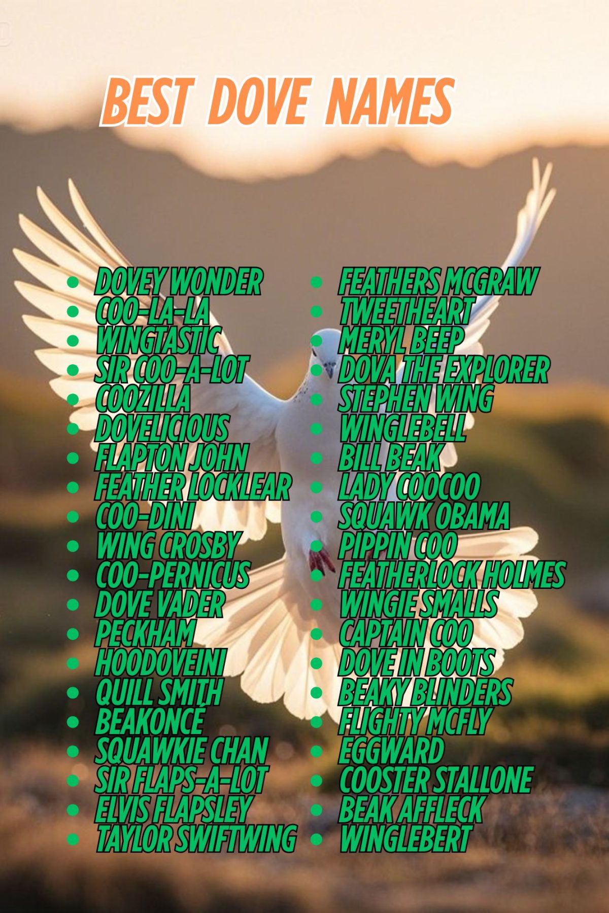 1000+ Best Dove Names That Are Cute, Cool, and Unique 2025