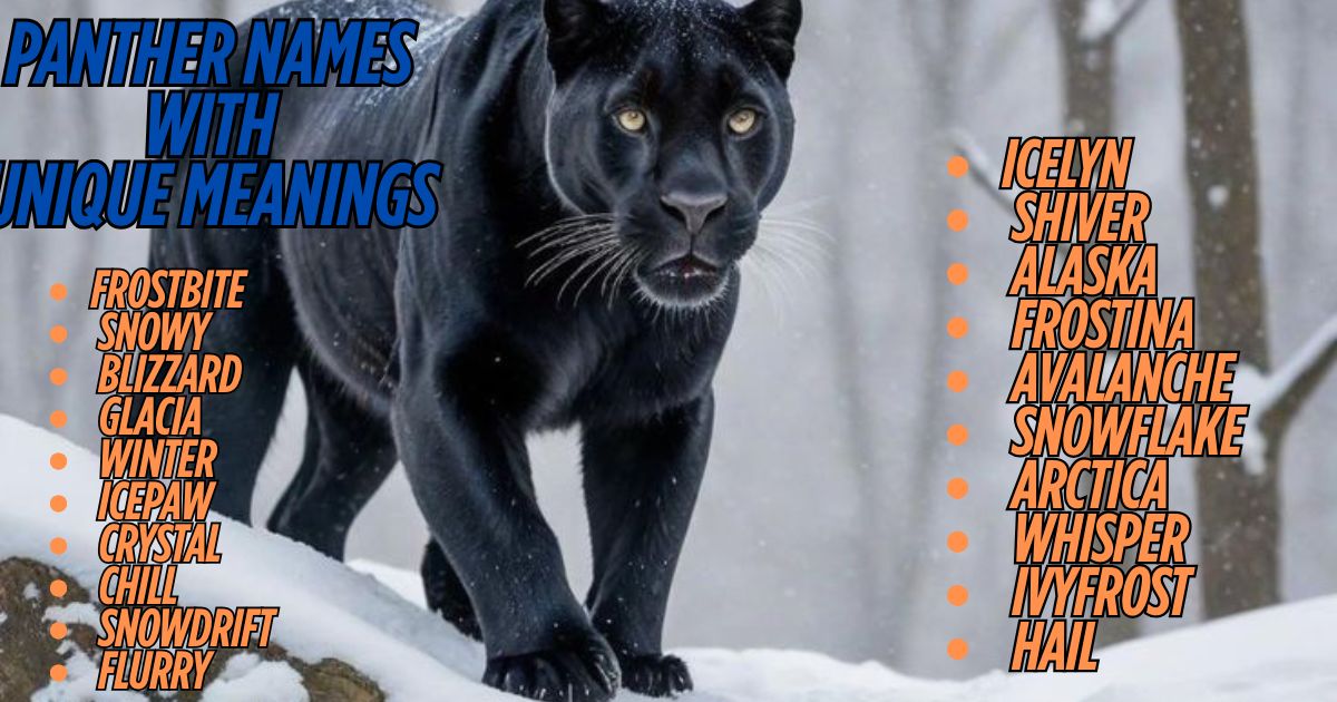 1300+ Top Panther Names with Unique Meanings 2025